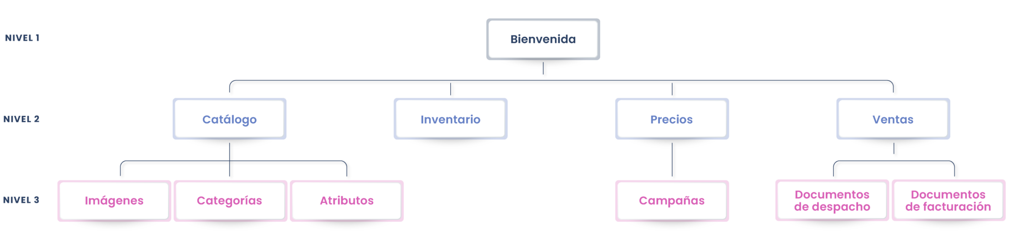 Programa de Capacitación - Multivende
