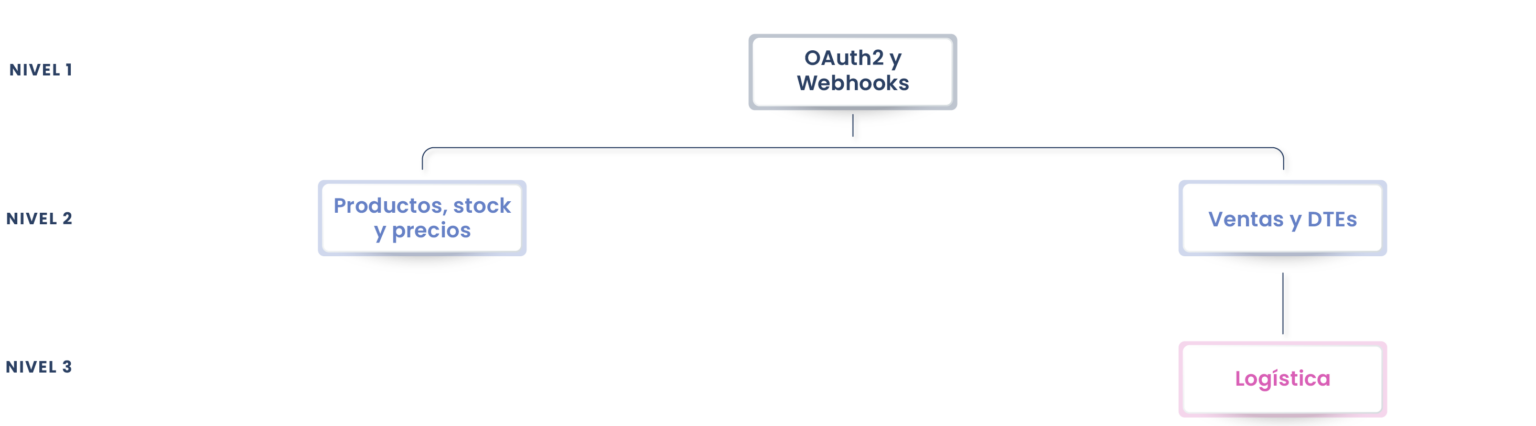 Programa de Capacitación API - Multivende